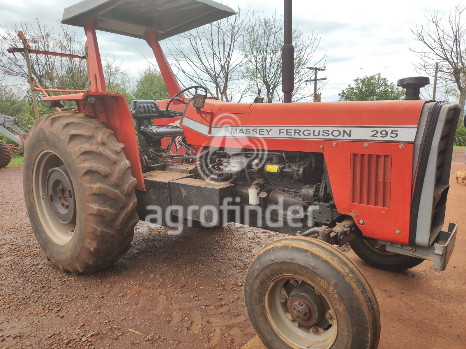 Trator Massey Ferguson 295 ano 1983 | agrofinder
