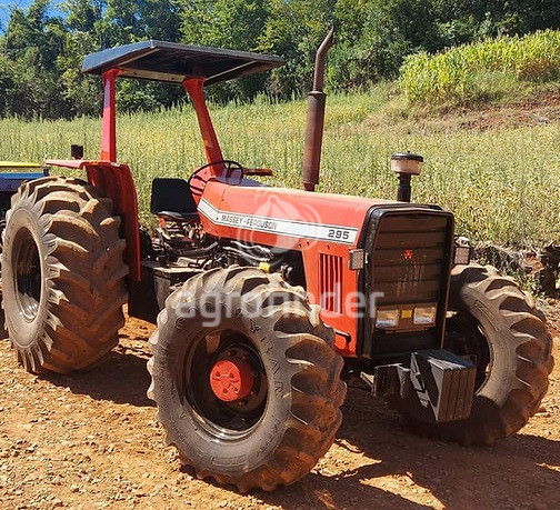 Trator Massey Ferguson 295 ano 1990 | agrofinder